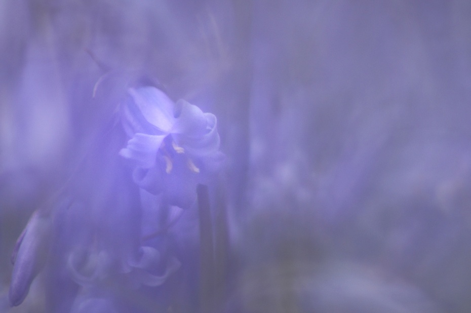 Fragile land - landscape photographs of Wales, Scotland and England by ...